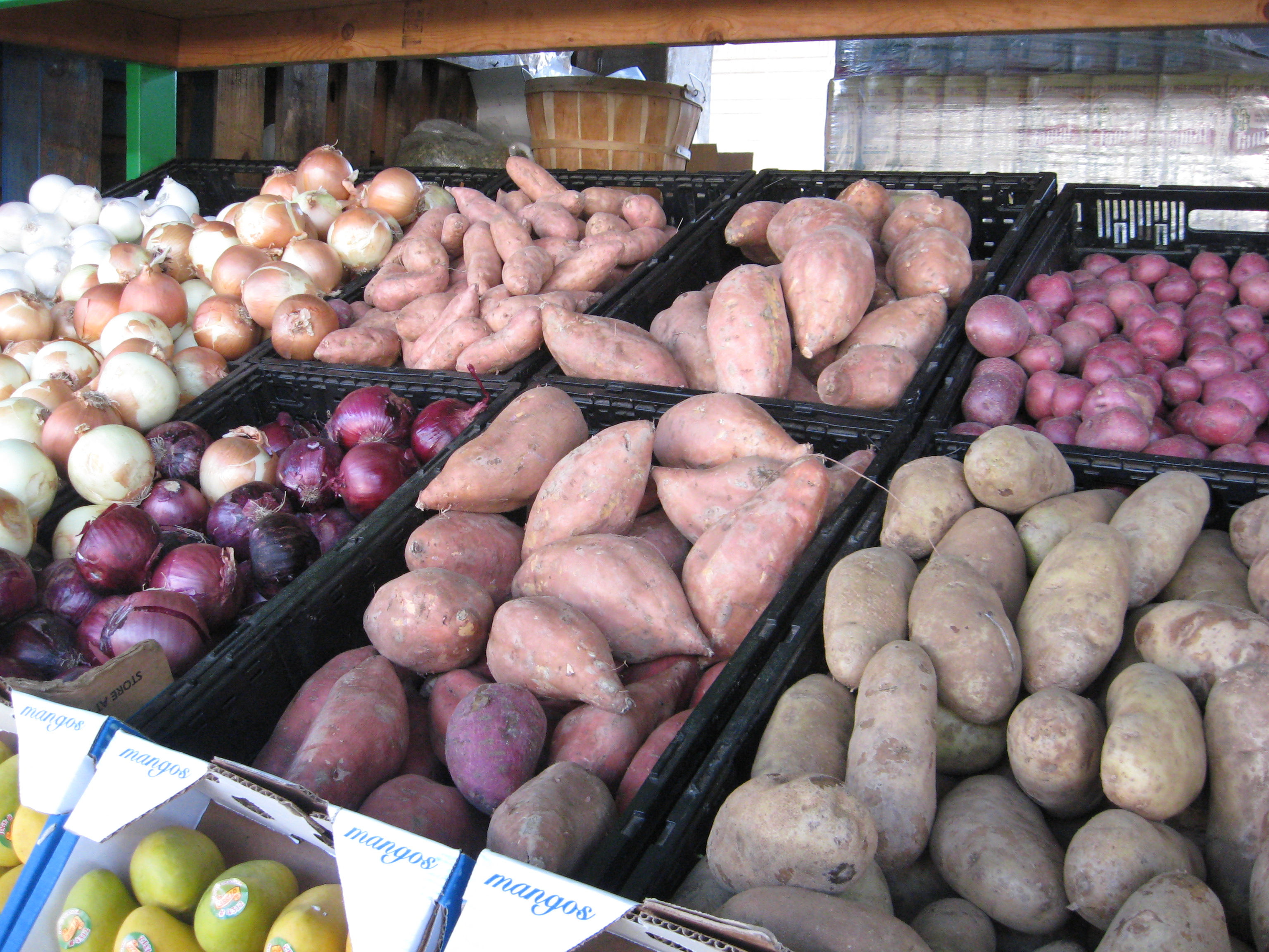 San Luis Valley Potatoes down This season……. - Haul Produce