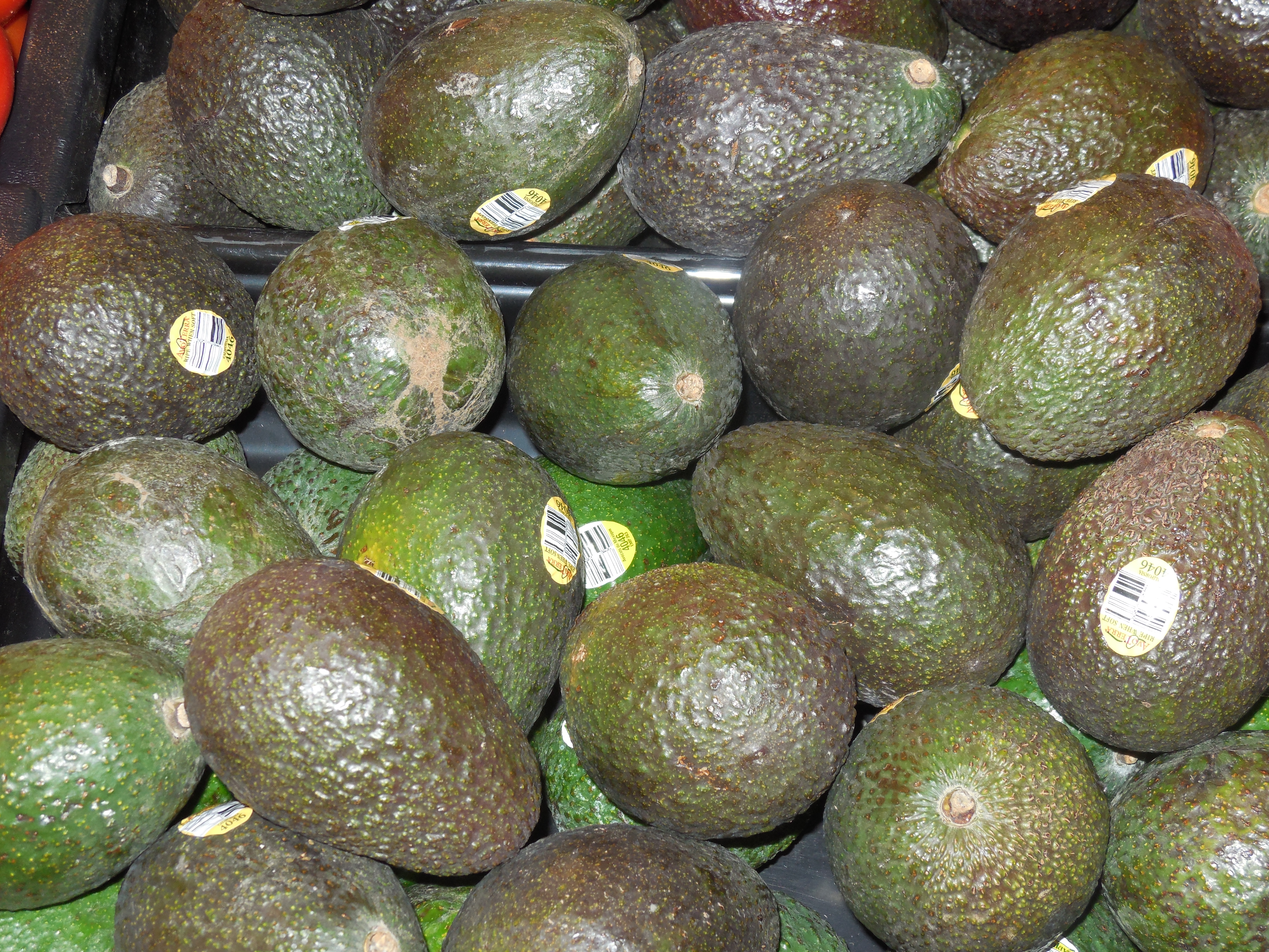 World’s Largest Avocado,3 lbs, is Now Sold in Tesco Stores - Haul Produce