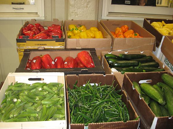 Check List – Part II: The Importance of Taking Pulp Temperatures - Haul ...