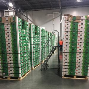 Savannah Port Receives First Ever Fresh Produce Shipment - Haul Produce