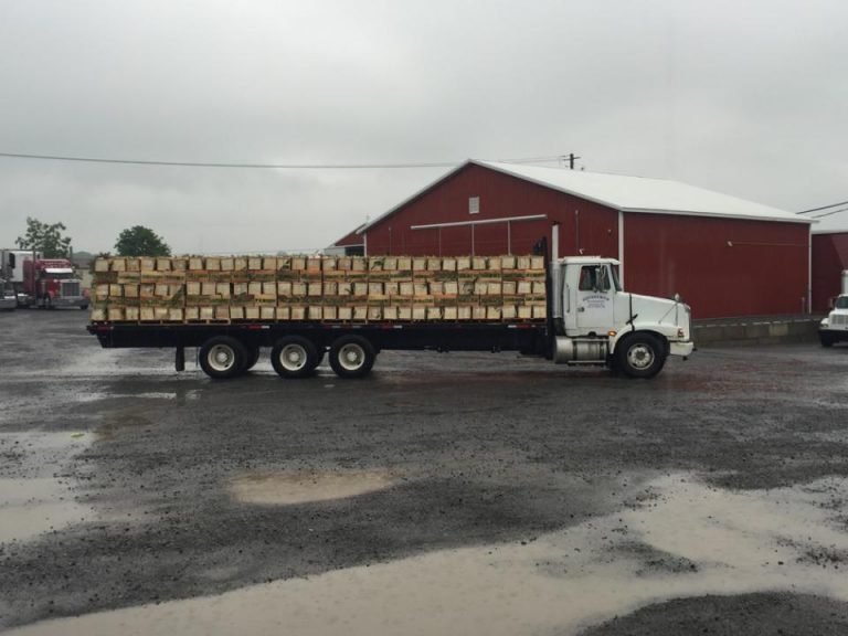 Haul Produce - Produce Loads and Produce Hauling