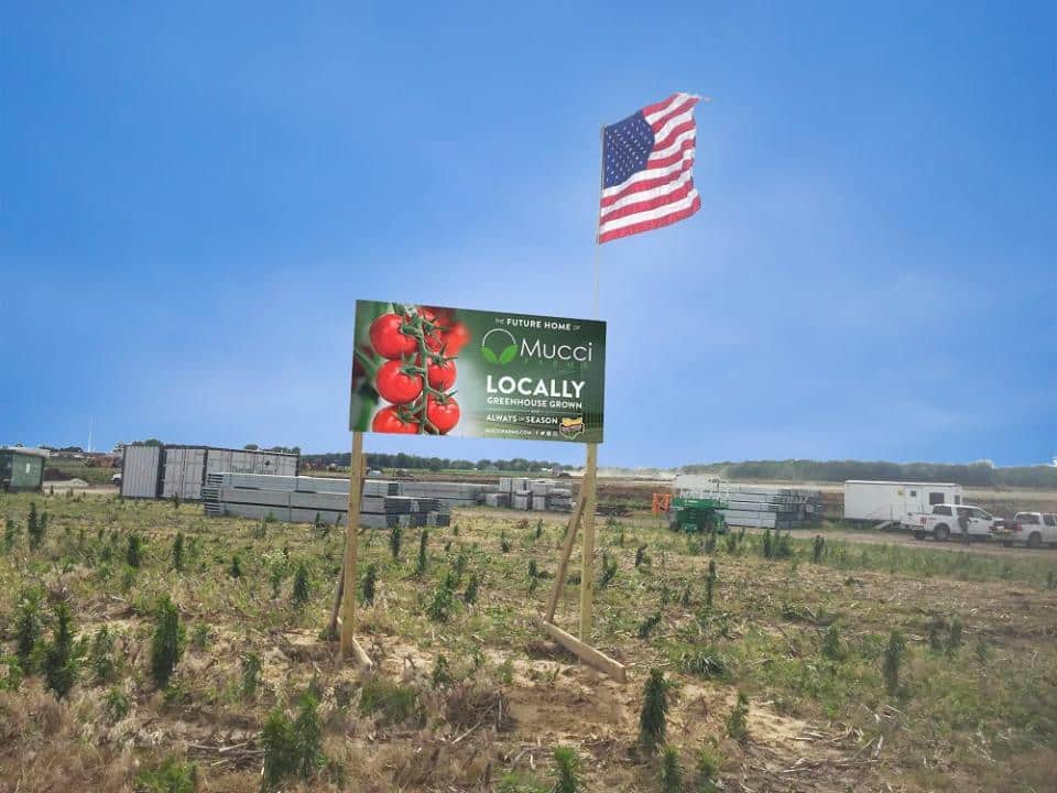 Mucci Farms is Building 3-Phase Greenhouse Project in Ohio - Haul Produce