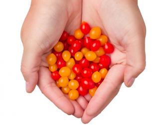 NatureFresh Farms & Eminent Seeds NL Introduce the World’s Smallest ...