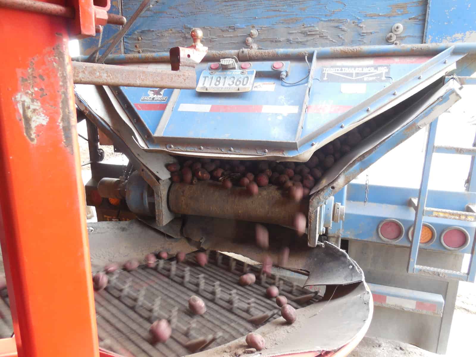 Black Gold Farms’ Fresh Red Potato Program Moves on to Missouri - Haul ...