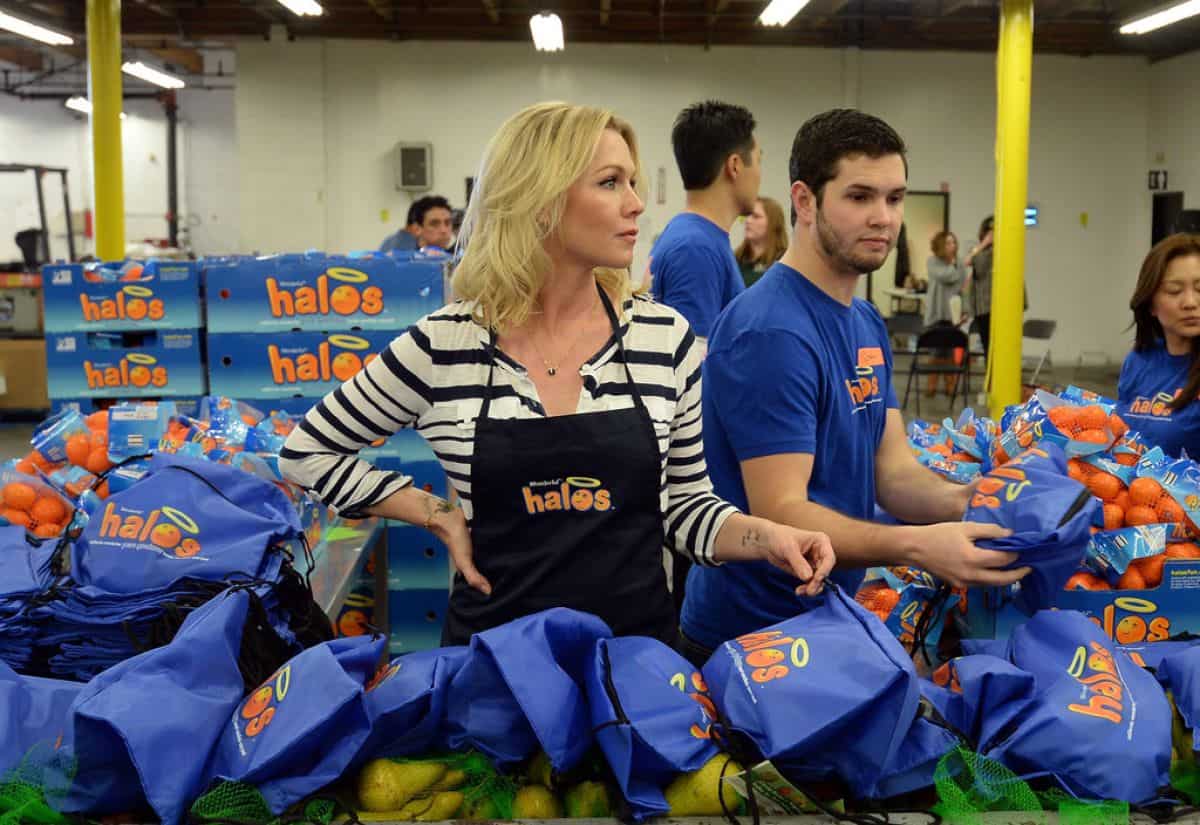 Wonderful Halos Kicks Off Its Biggest Shipping Season Ever - Haul Produce