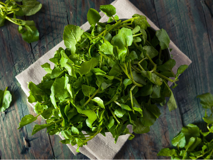 Watercress, the CDC’s Most Recommended Powerhouse Veggie, Boosts ...