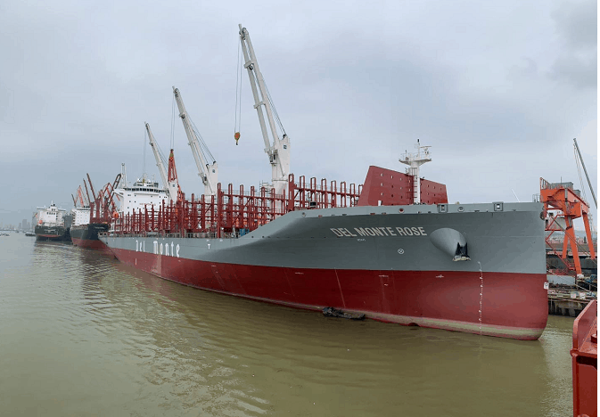 Energy-Efficient Ships are Added to Del Monte Fresh Fleet - Haul Produce