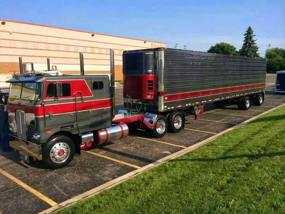 Mexican Raspberry Exports Experience Huge Increase in First Half of ...