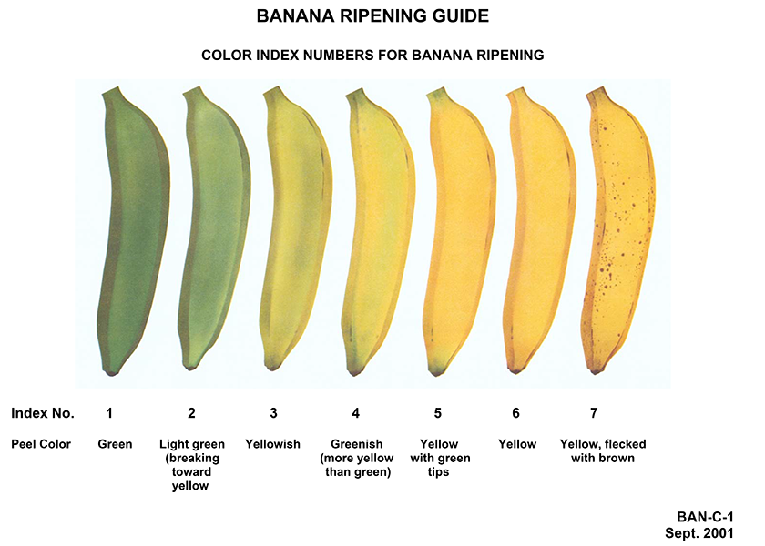 How to Determine a Ripe Banana - Haul Produce
