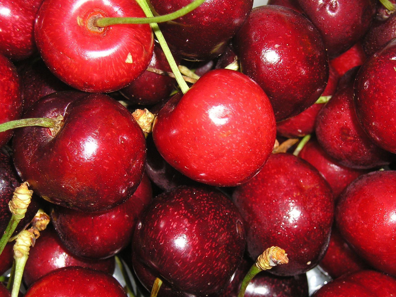 Superfresh Growers to Expand Cherry Production by 30% - Haul Produce