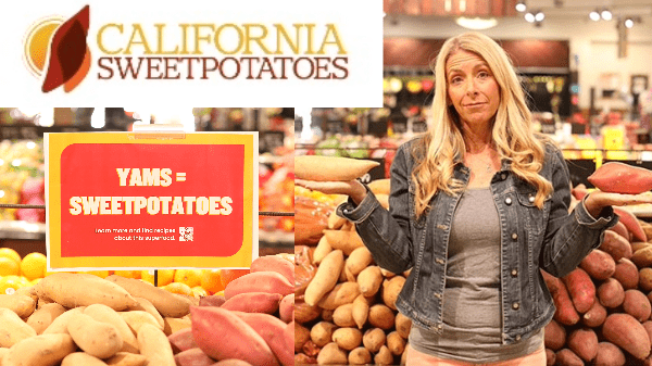 California Sweet Potato Educational Campaign: Yam = Sweet Potato - Haul ...