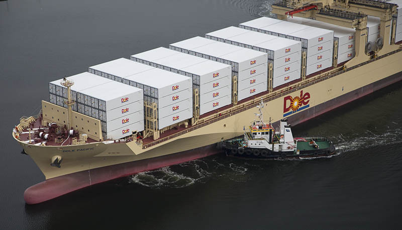 Dole Expands Fresh Fruit Shipping Service to Port of Wilmington - Haul ...