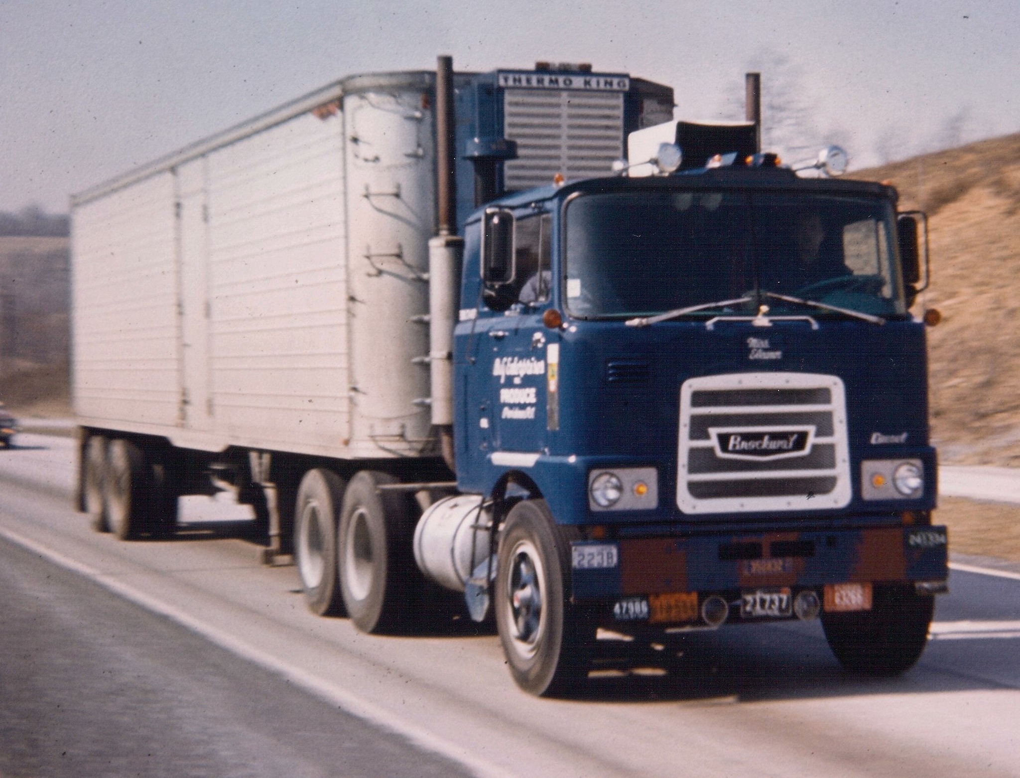 Strong Domestic Blueberry Shipments are Forecast by California Giant ...