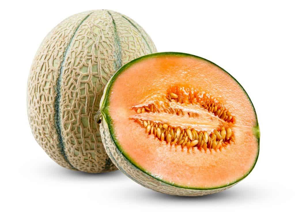 Most Melon Imports by the United States Come from Guatemala - Haul Produce